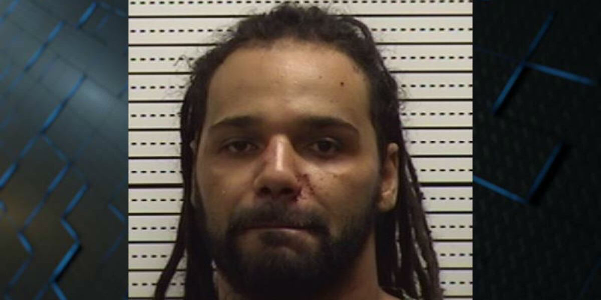 Leland Man Faces Armed Robbery Drug Charges