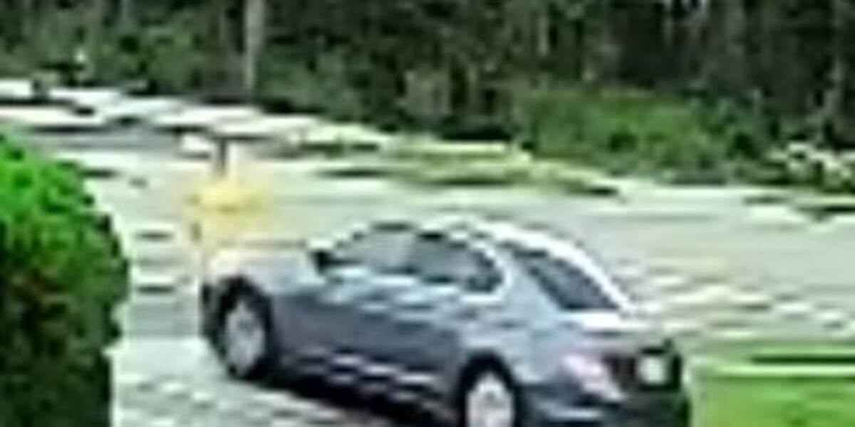 WPD asks for public’s help in hit and run case WPD asks for public’s help in hit and run case